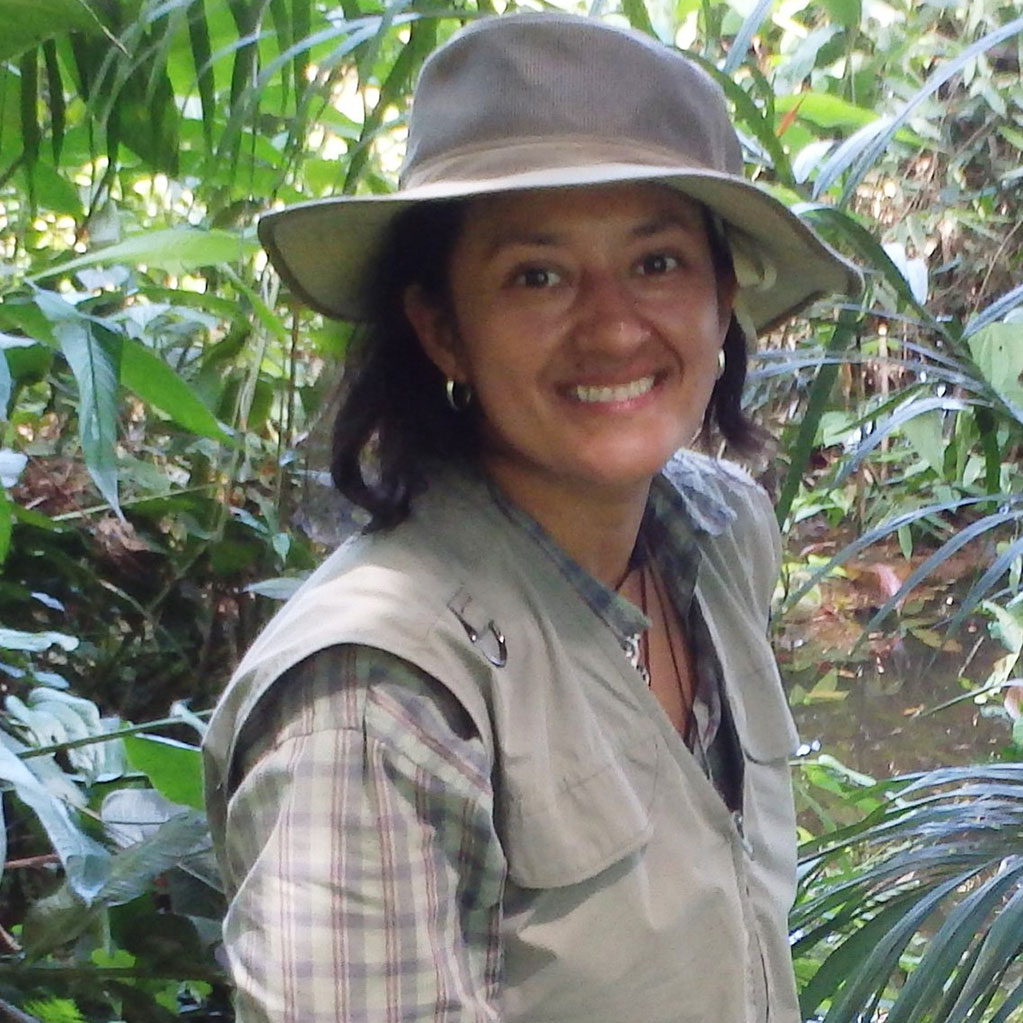 Directory | Forest And Wildlife Research Center | Mississippi State ...